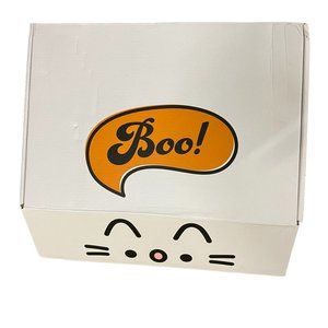Pusheen | Other | Pusheen 22 Boosheen Empty Box | Poshmark